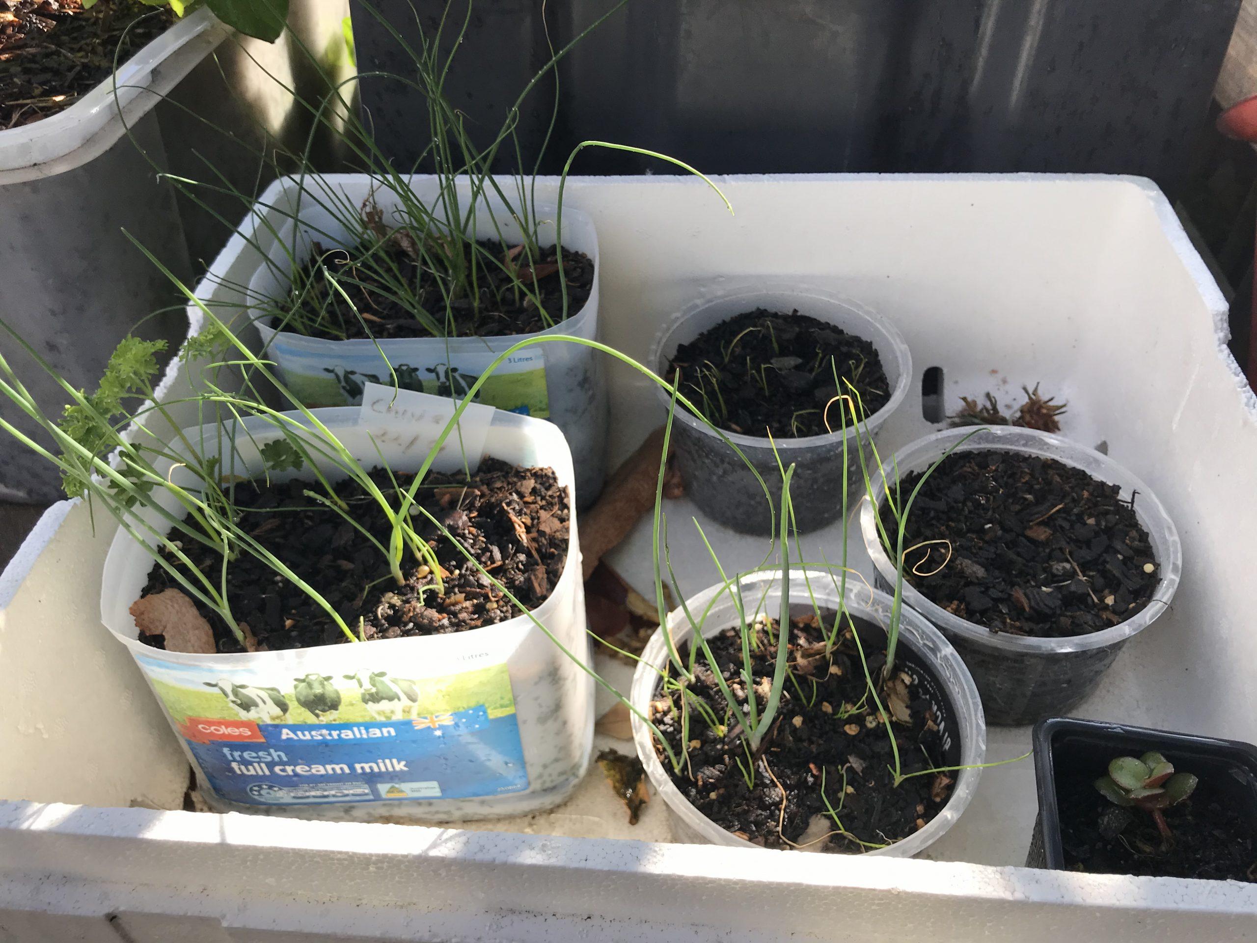 Make garden planters with recycled materials - Junk Gardening